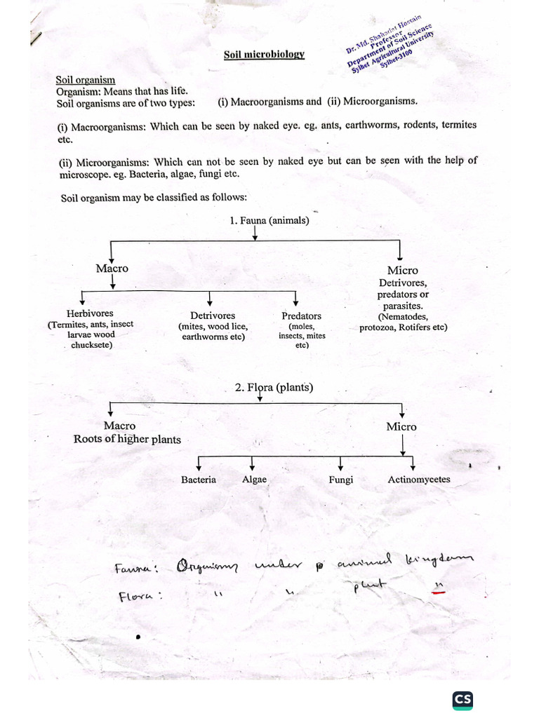 Soil Micro Organism | PDF