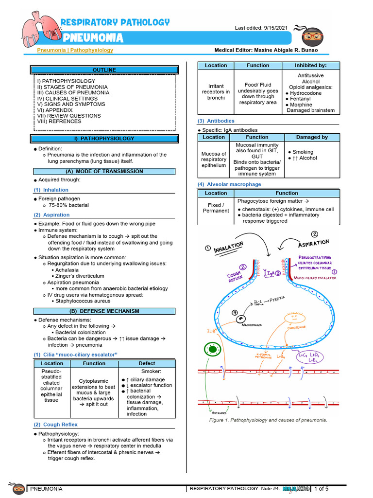 Pneumonia Pathophysiology Atf | PDF | Pneumonia | Respiratory Diseases