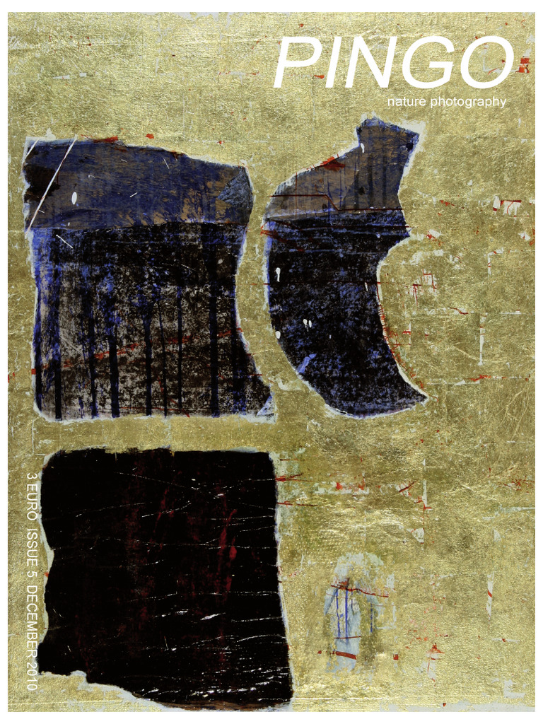 PINGO MAGAZINE - Sketch-Cover | PDF