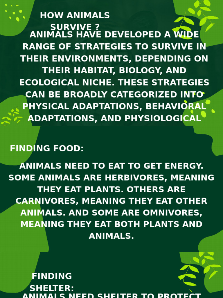how-animals-survive | PDF