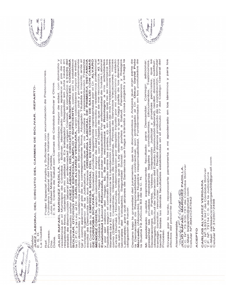 Documento Julio Marquez - Edited | PDF