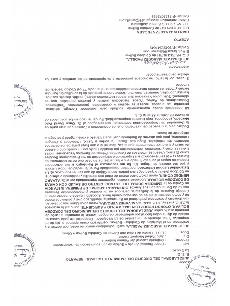 Documento Julio Marquez | PDF