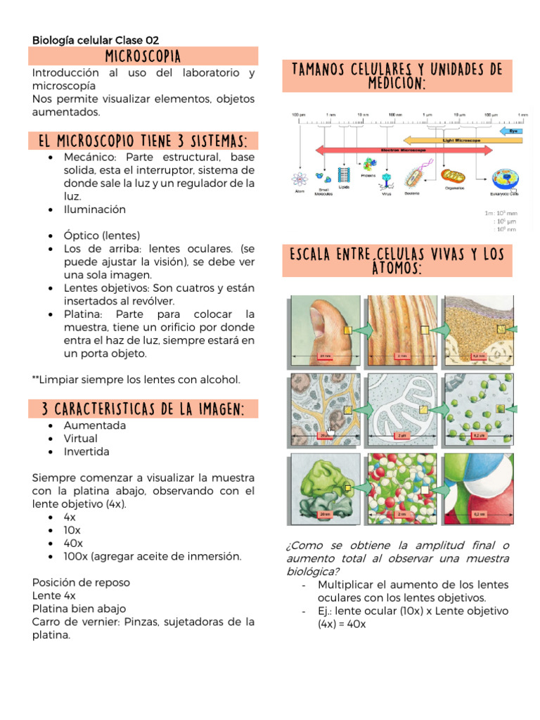 Introducción a la Microscopía Celular | PDF | Microscopio | Óptica
