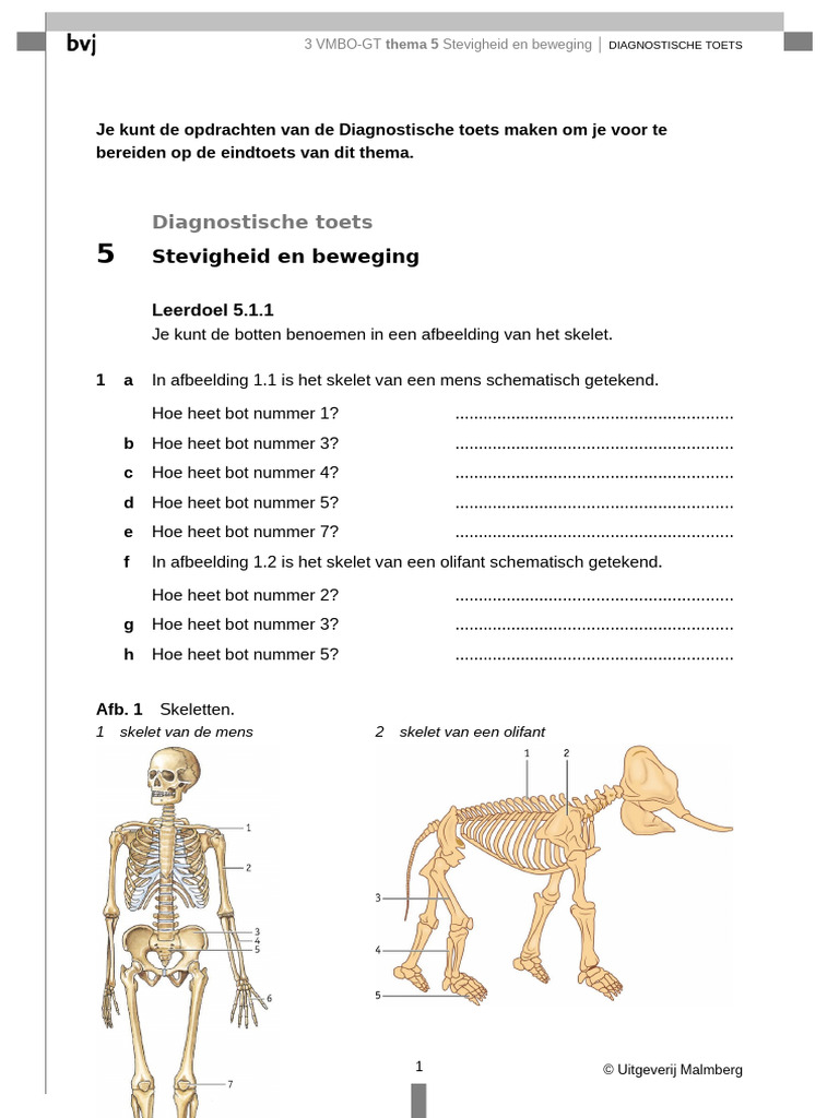BVJ Oefentoets H5 Stevigheid en Beweging | PDF