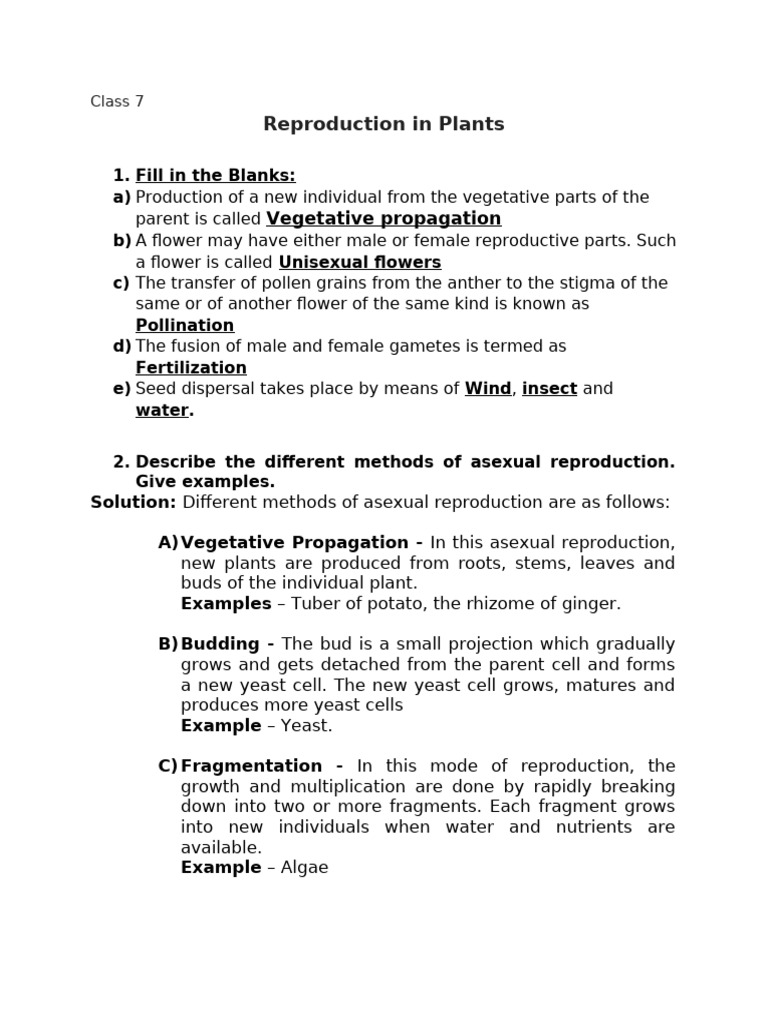 class 7 - reproduction in plants | PDF | Flowers | Sexual Reproduction