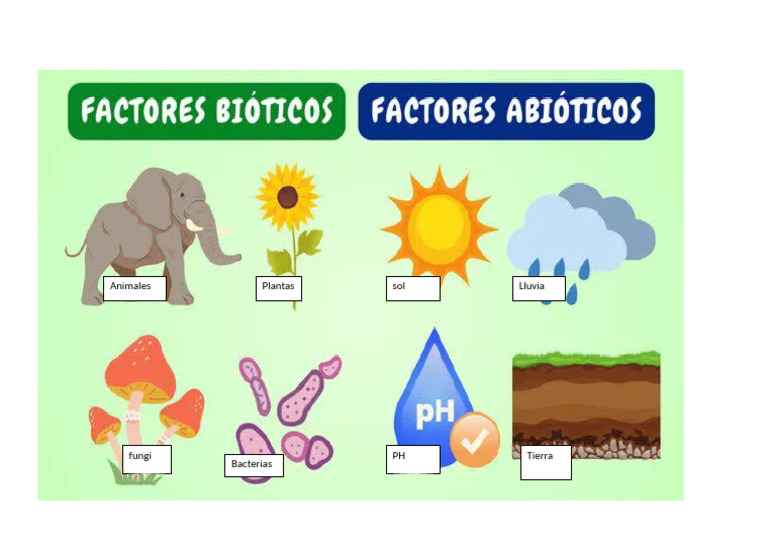 Factores Abioticos y Bioticos | PDF