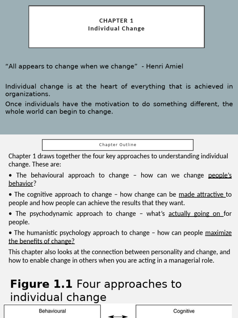 Understanding Individual Change Approaches | PDF | Classical ...