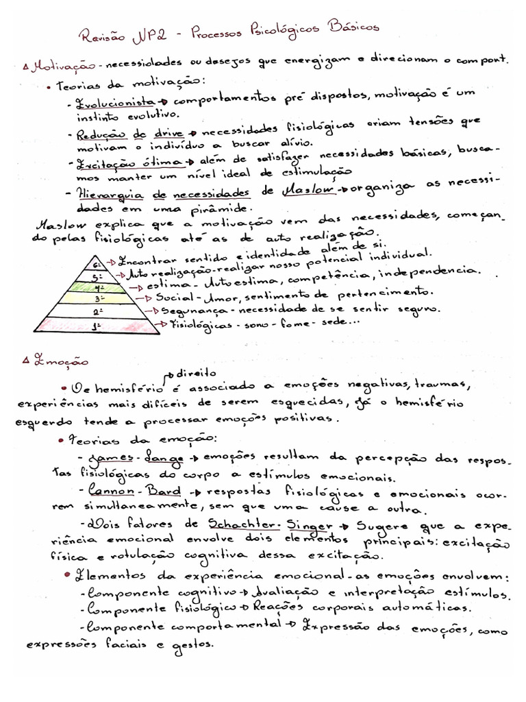 Resumo para NP1 Processos Psicológicos Básicos | PDF