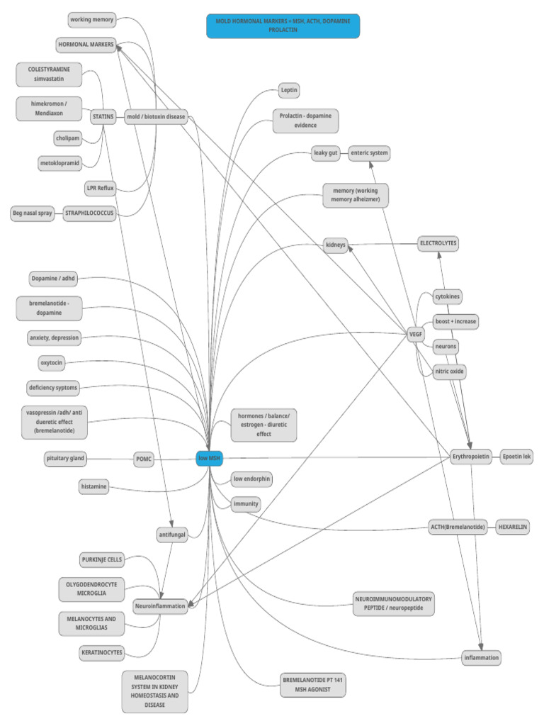 health map | PDF | Endocrine System | Endocrinology