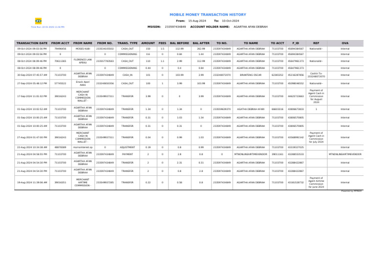 Momostatementreport Pdf Banking Technology Payments