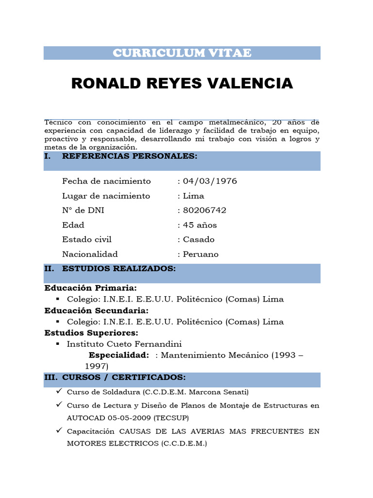 CV Reyes | PDF
