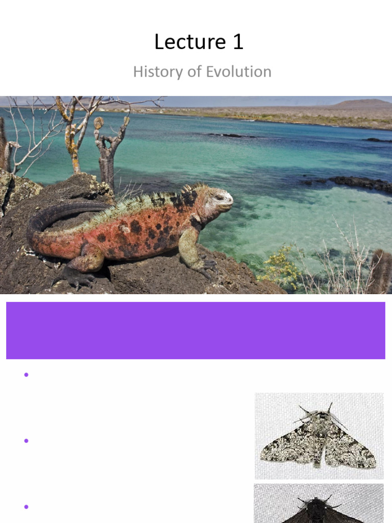 lecture 1 | PDF | Natural Selection | Evolution