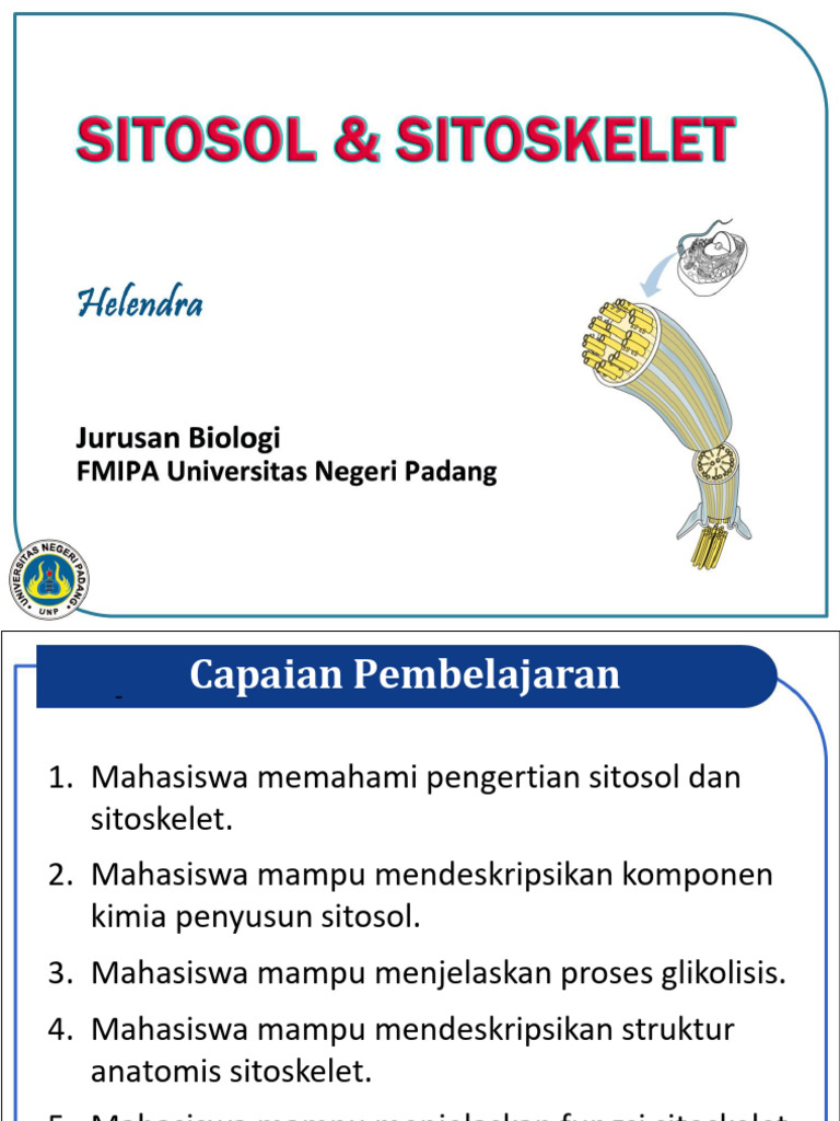 05 - Biosel - Sitosol dan Sitoskelet | PDF