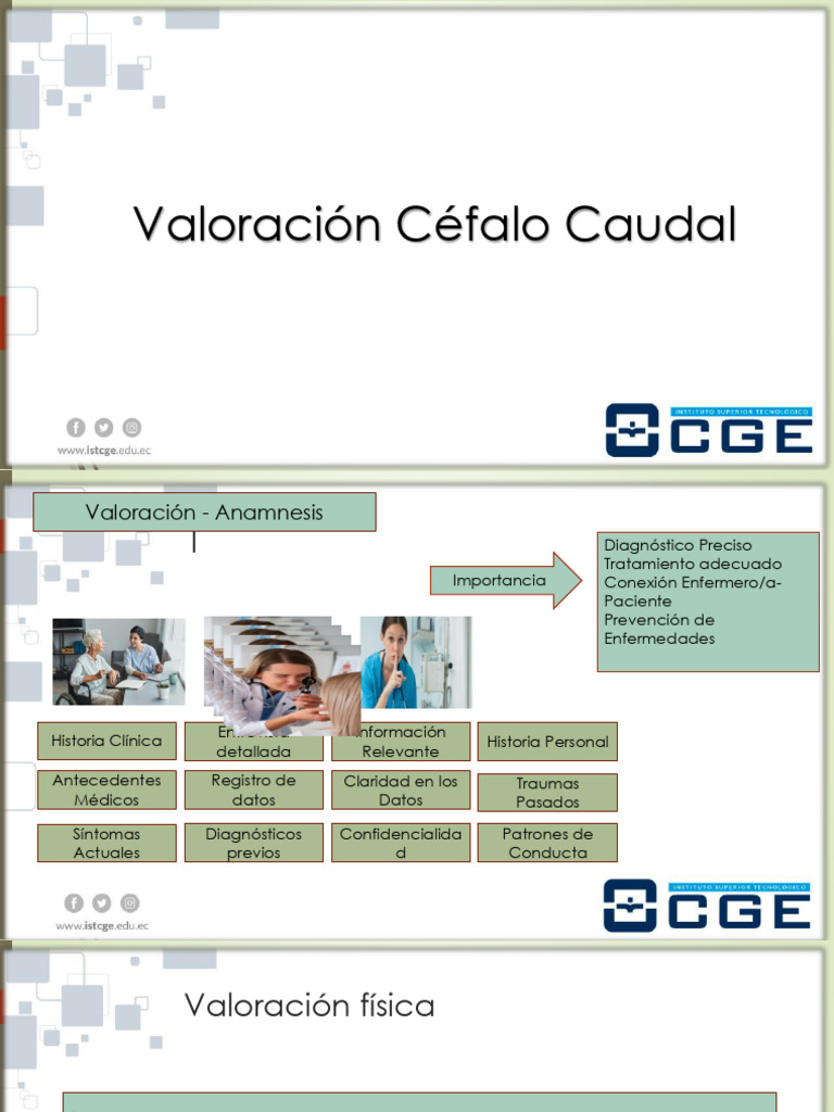Semana 4 Valoracion Cefalo Caudal | PDF | Examen físico | Medicina