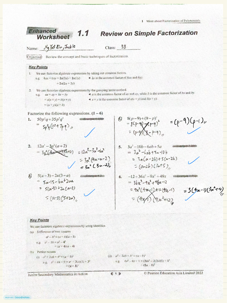 Algebraic Expressions and Factorization Guide | PDF