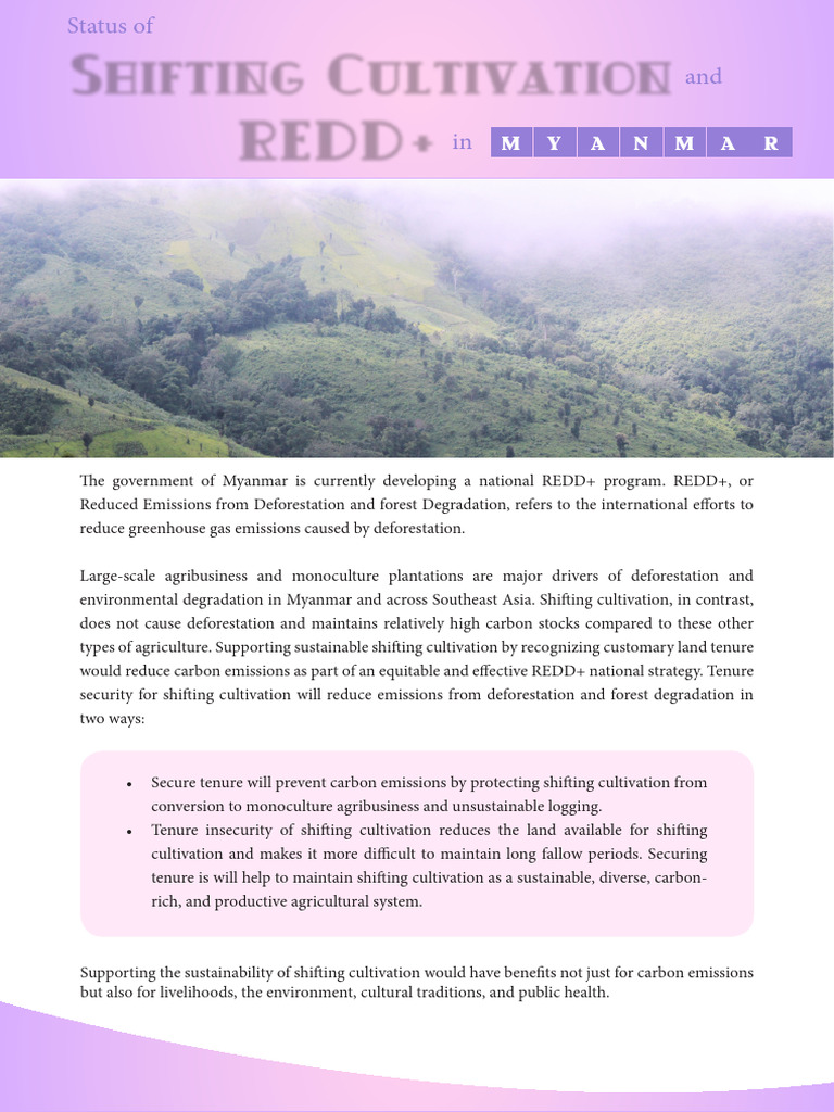 REDD+ | PDF | Agriculture | Crop Rotation