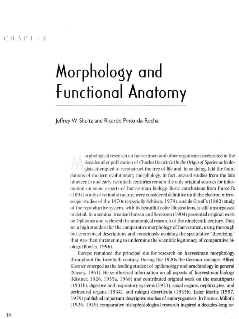 2.Morphology and Functional Anatomy | PDF | Biology