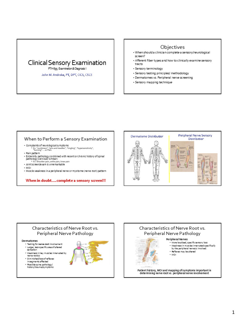 Clinical Sensory Examination Guide | PDF | Nerve | Pain