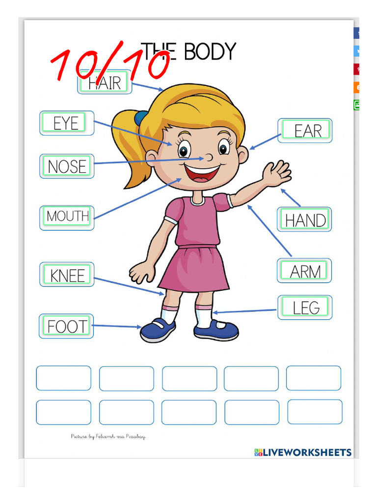 The Body Exercise For Grade 1 | PDF