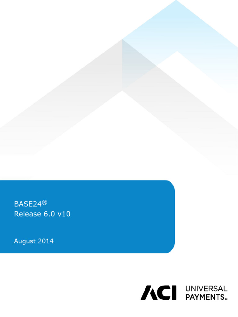 BASE24 BIC ISO Interface Manual | PDF | Information Technology | Computer Science