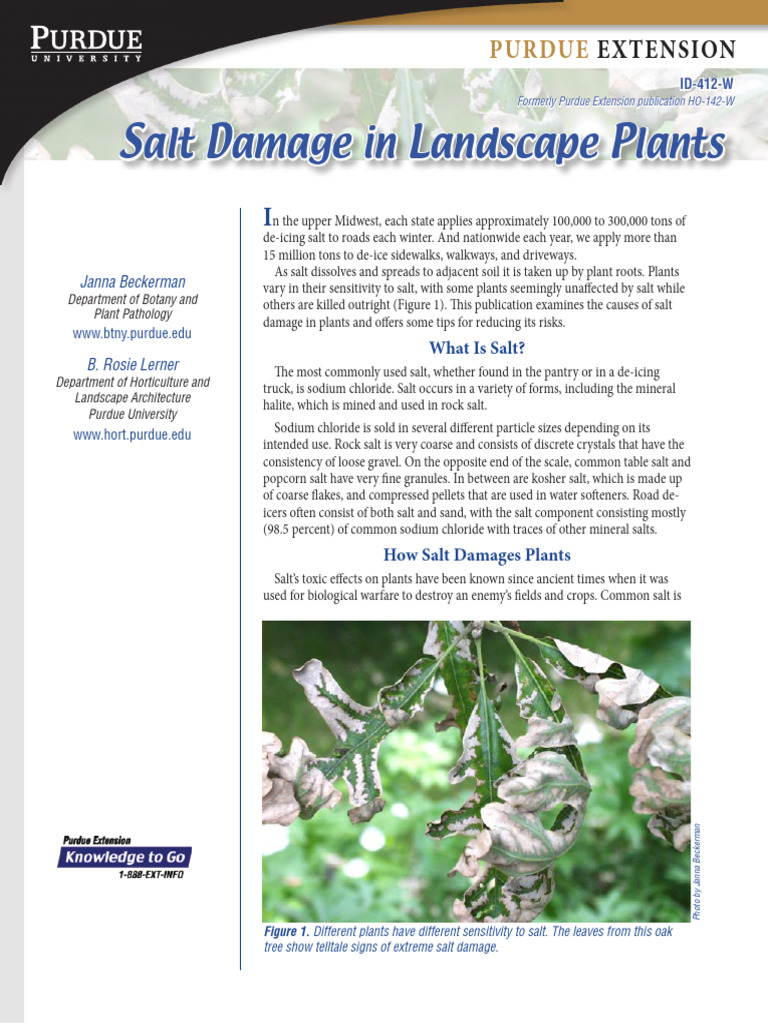 Salt Damage in Landscape Plants | PDF | Sodium Chloride | Chloride