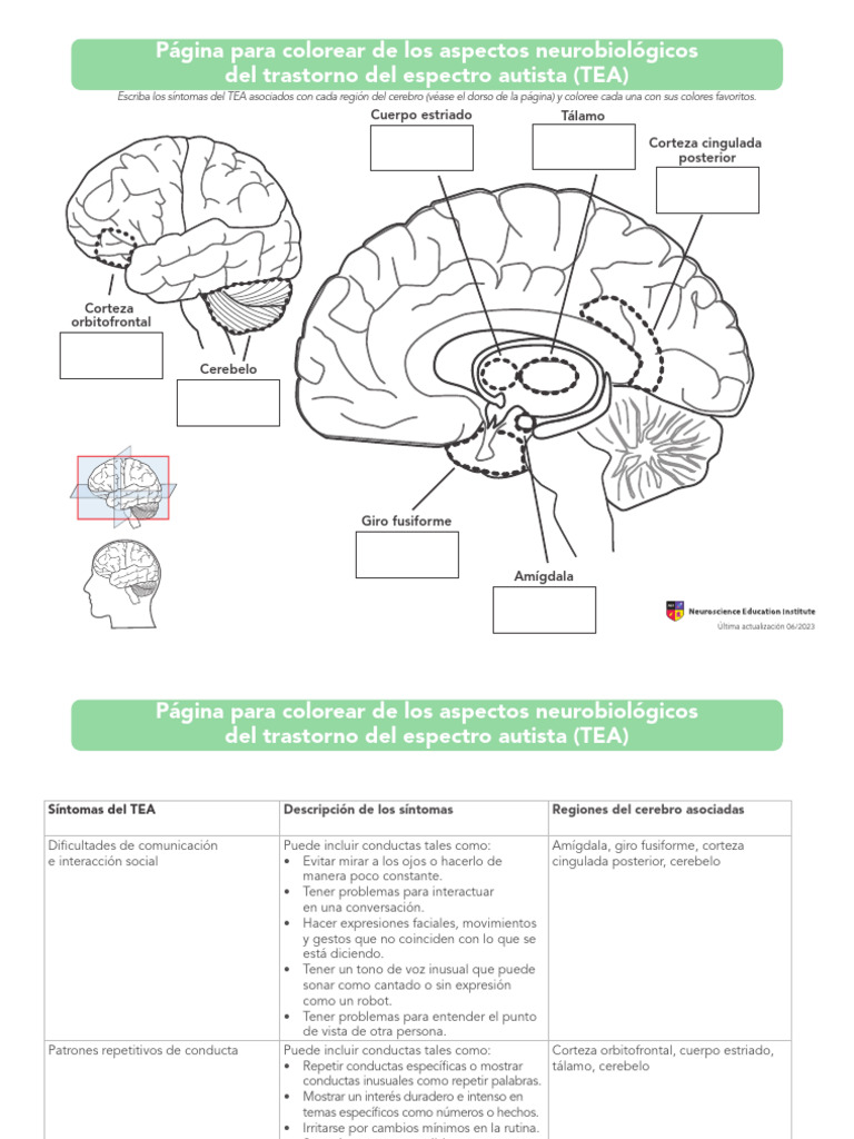 Asd Color As | PDF | Autismo | Sicología
