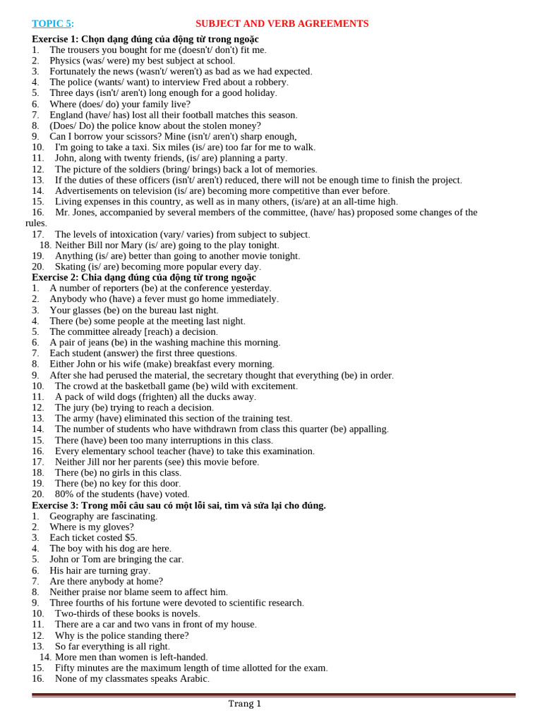 6 Model Verb | PDF