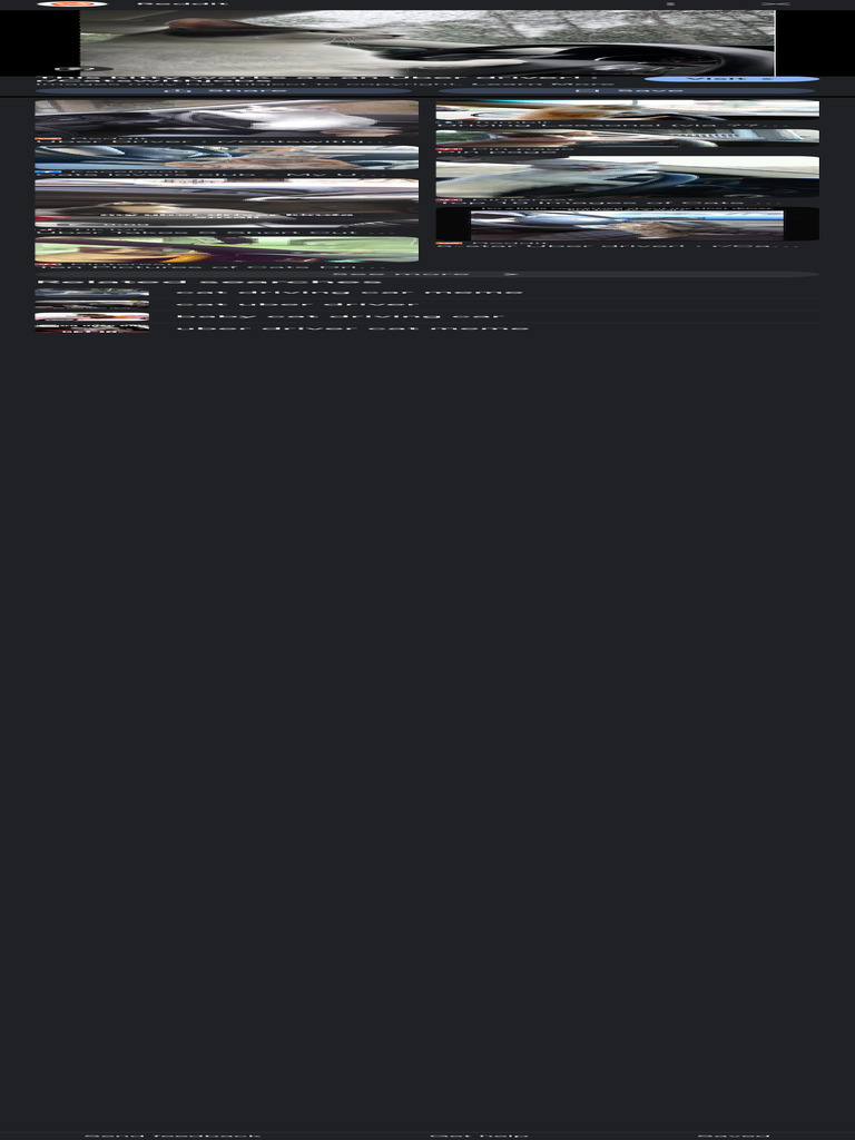 Cat Driving A Car Uber - Google Search | PDF