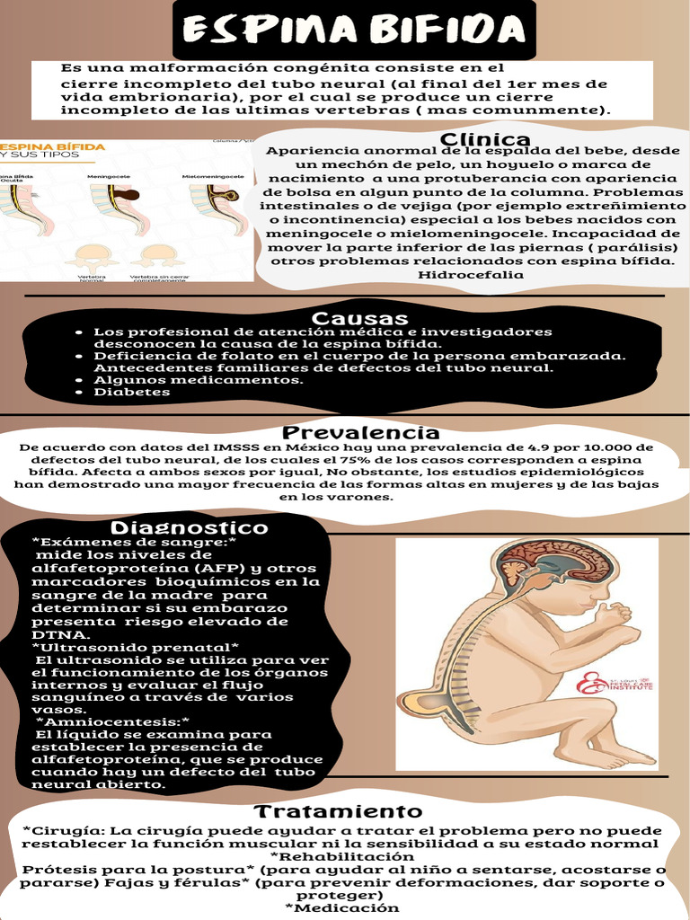 Espina bífida_20250215_013606_0000_014607.pdf_20250215_030002_0000_030017 | PDF | Enfermedades y ...