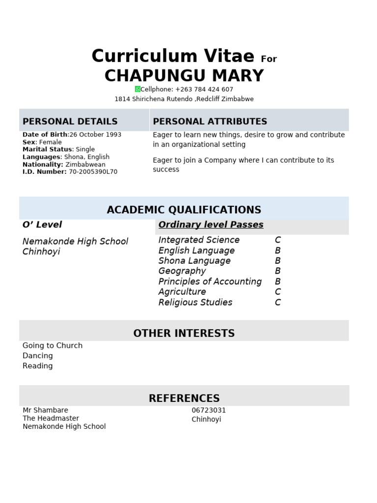 CV Davison Mhaka | PDF