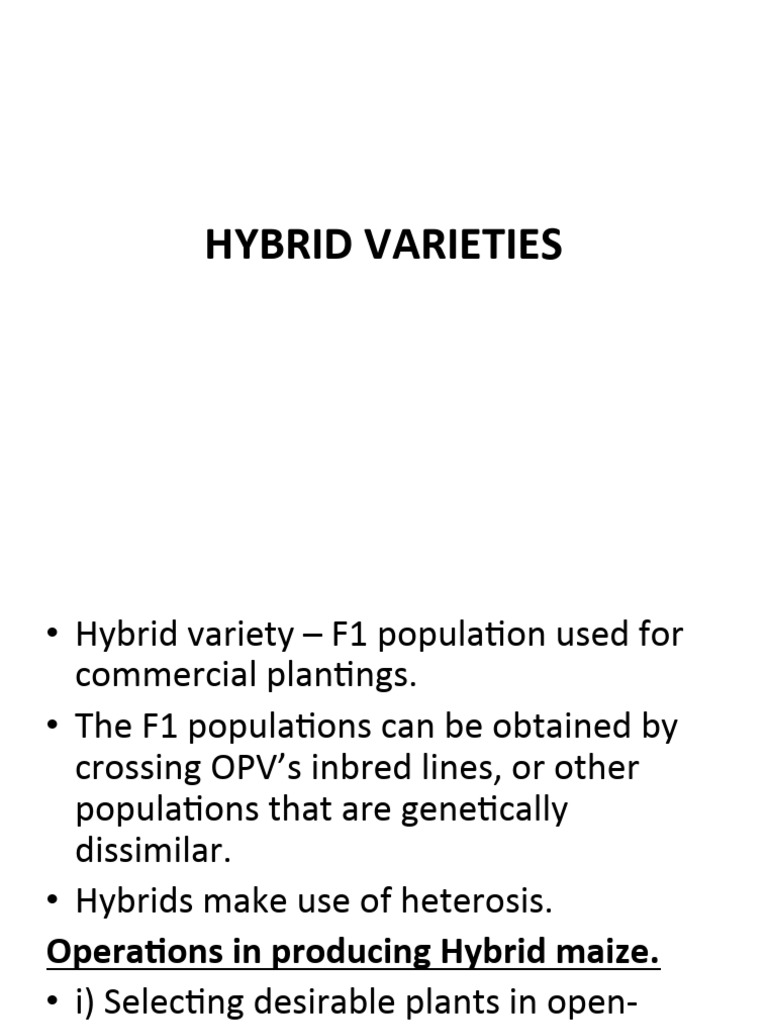 III HYBRID and SYNTHETIC VARIETIES | PDF | Inbreeding | Zygosity