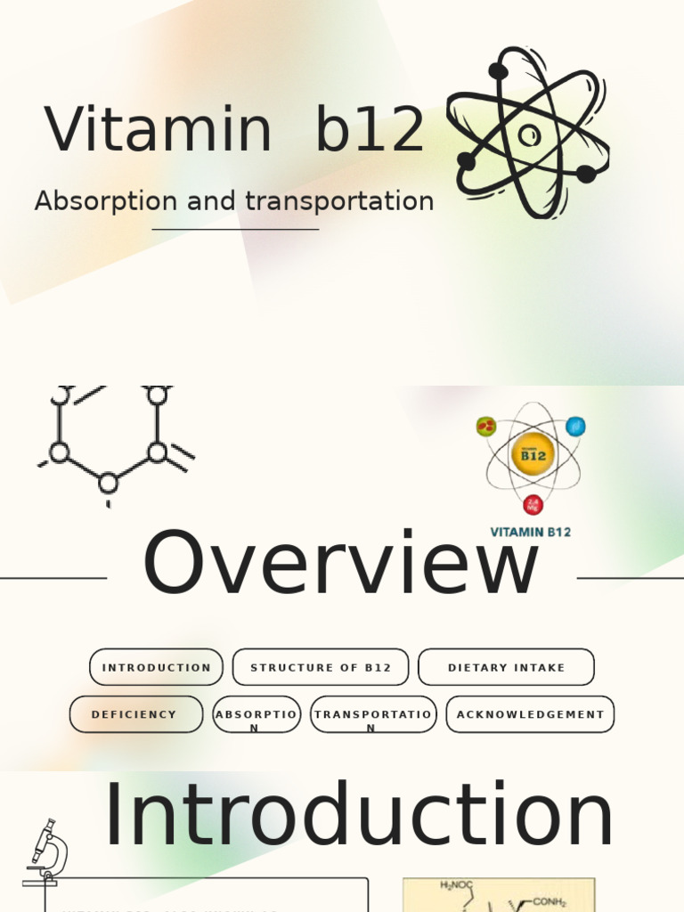 Vitamin B12 Absorption and Transportation - 20241128 - 231118 - 0000 | PDF