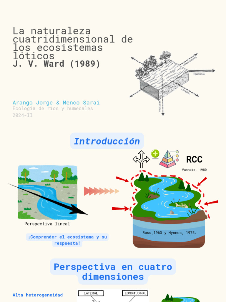 Four-Dimensional Perspective of The River System. Arango - Menco | PDF ...