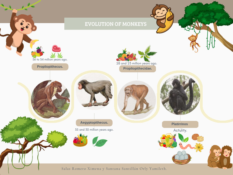 Evolution of Monkey | PDF