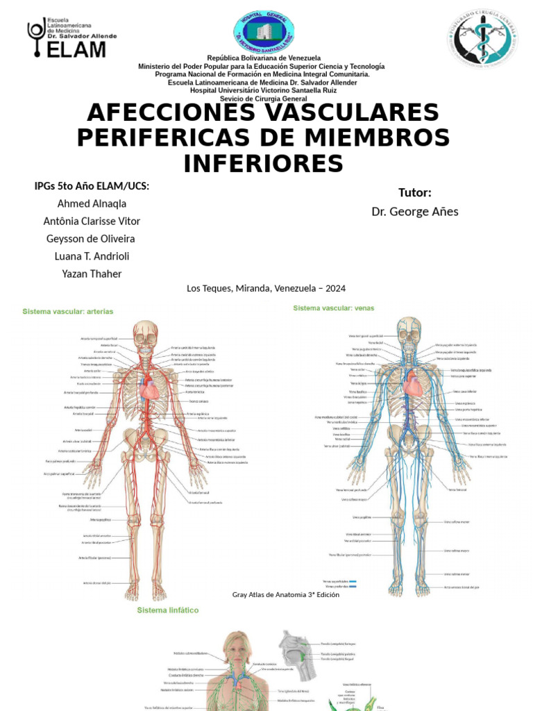 Afecciones Vasculares Perifericas de Miembros Inferiores 2 | PDF ...
