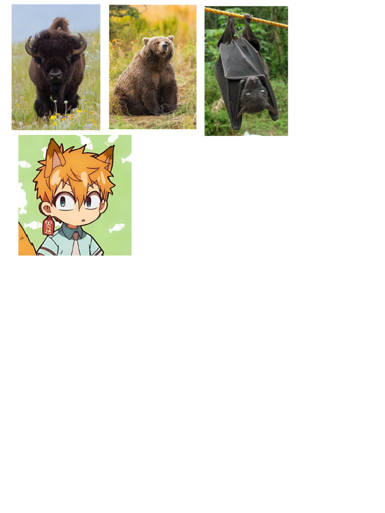 imagenes k iche | PDF