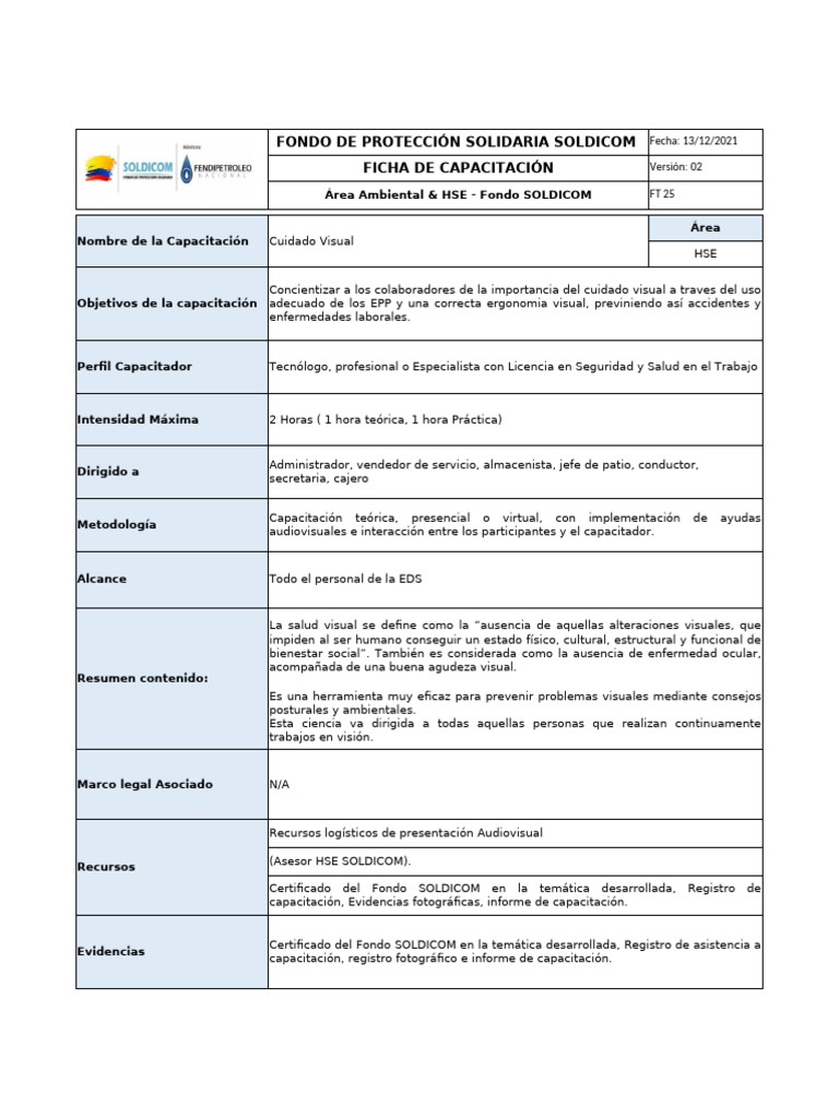 Ficha de Cap_Cuidado Visual | PDF