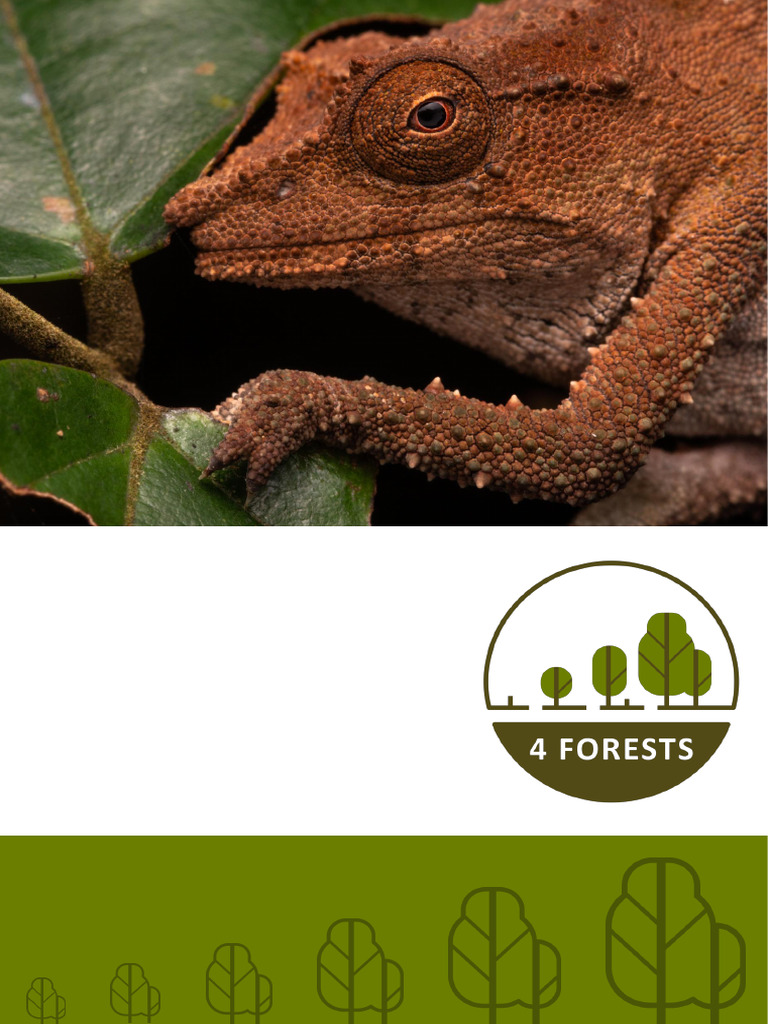 Herpetological Surveys of Poorly Studied Sites in The South East ...