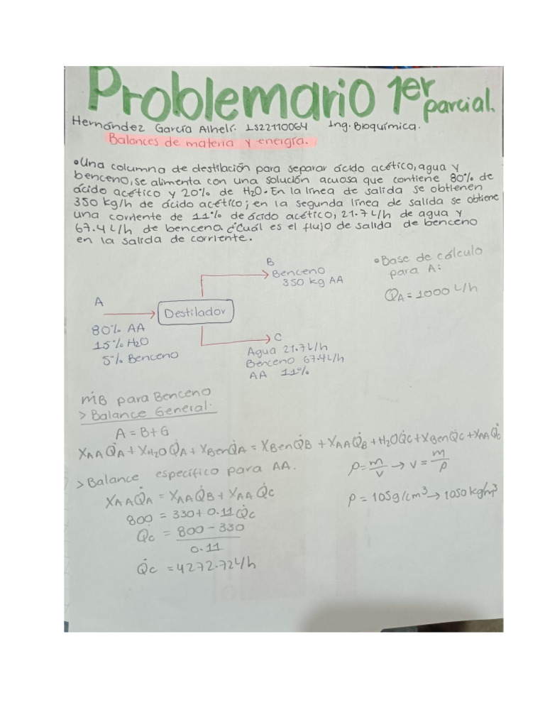 Problemario 1er Parcial. Balances. Hernández García. | PDF
