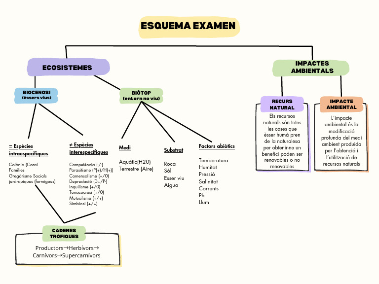 Esquema Bio | PDF