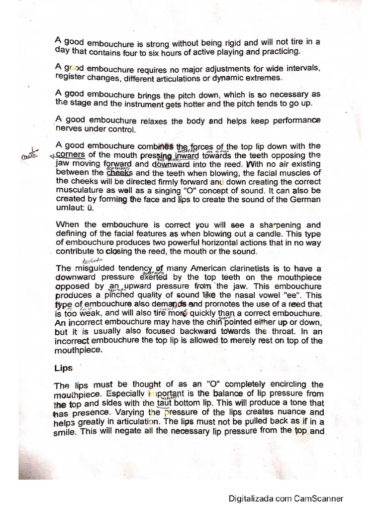 A Good Embouchure | PDF