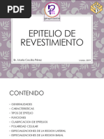 05 Tejidos Epiteliales III Especializaciones Del Dominio Basolateral ...