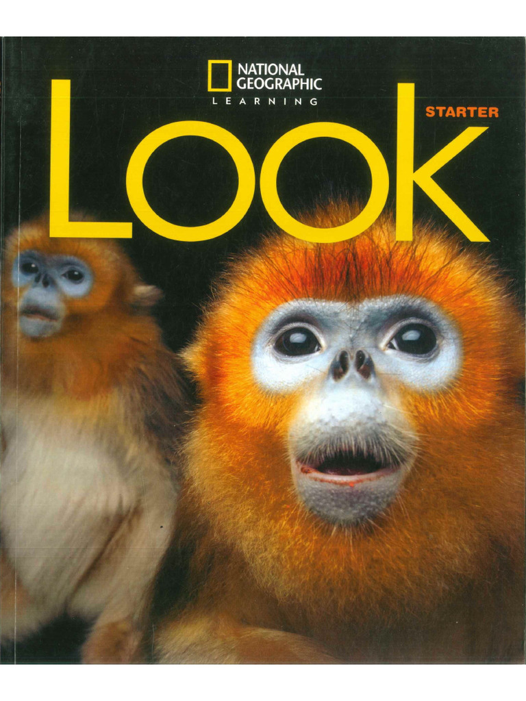 LOOK STARTER - SB | PDF