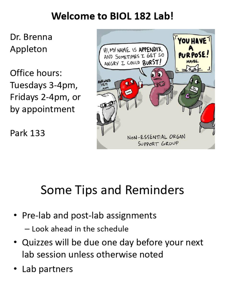 BIOL 182 Lab: Data Visualization Tips | PDF | Standard Deviation | Variance