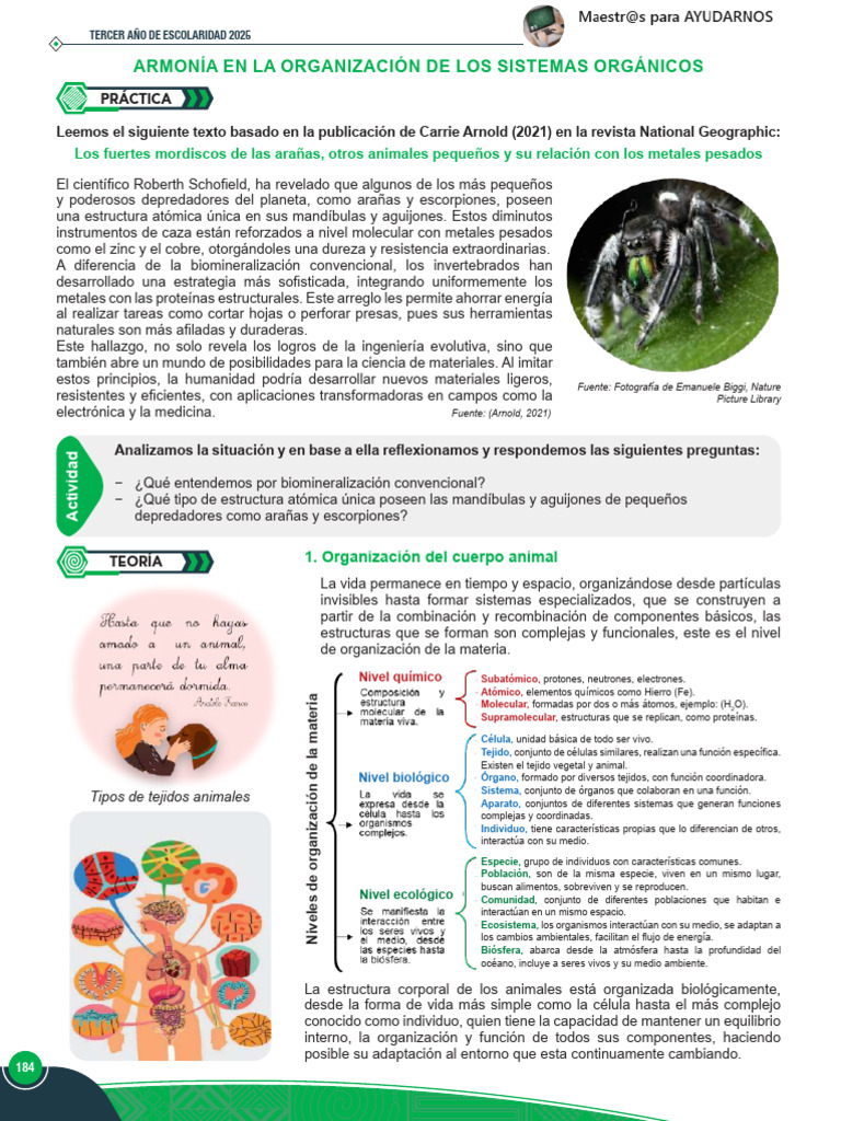 Tema 1 Bio-Geo | PDF | Hueso | Mielina