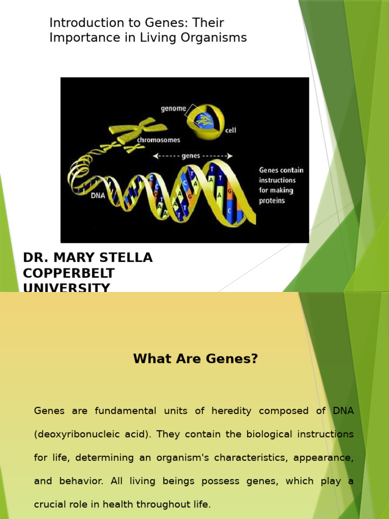 Introduction to Genes Their Importance in Living Organisms | PDF | Gene ...