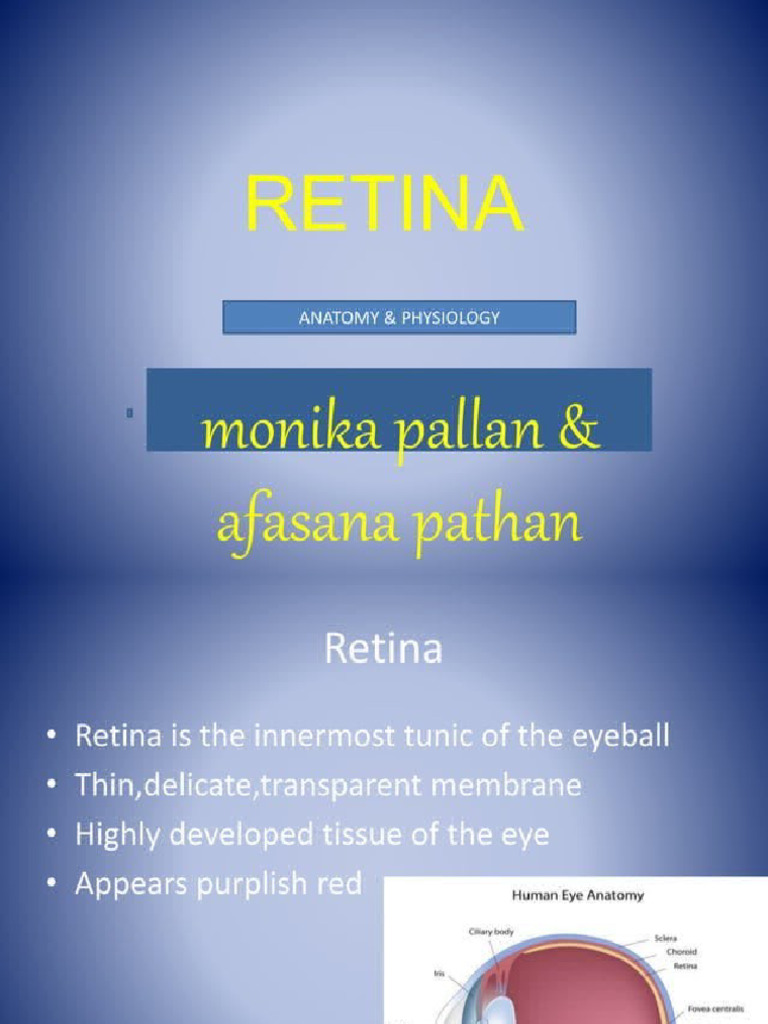 Retina | PDF