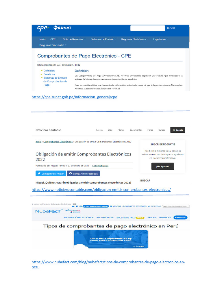 Comprobantes Electronicos Investigacion y Referencia | PDF
