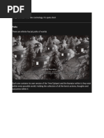 Wonderland System Lore | PDF