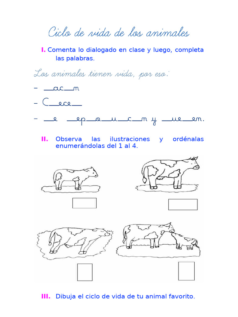 Dibuja el ciclo de vida de un animal | PDF